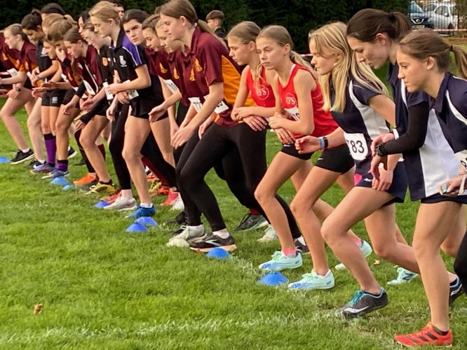 Cross Country Success | Chichester Free School
