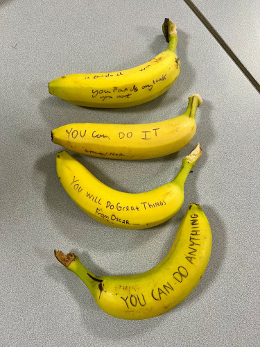 Motivational bananas! | Chichester Free School