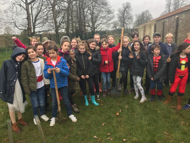 Tree Planting in Primary | Chichester Free School